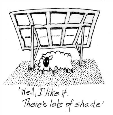 solar farm cartoons